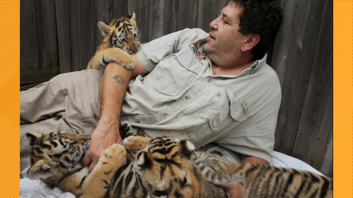 Jacksonville's own 'Tiger King?' Not quite. What to know about Catty ...