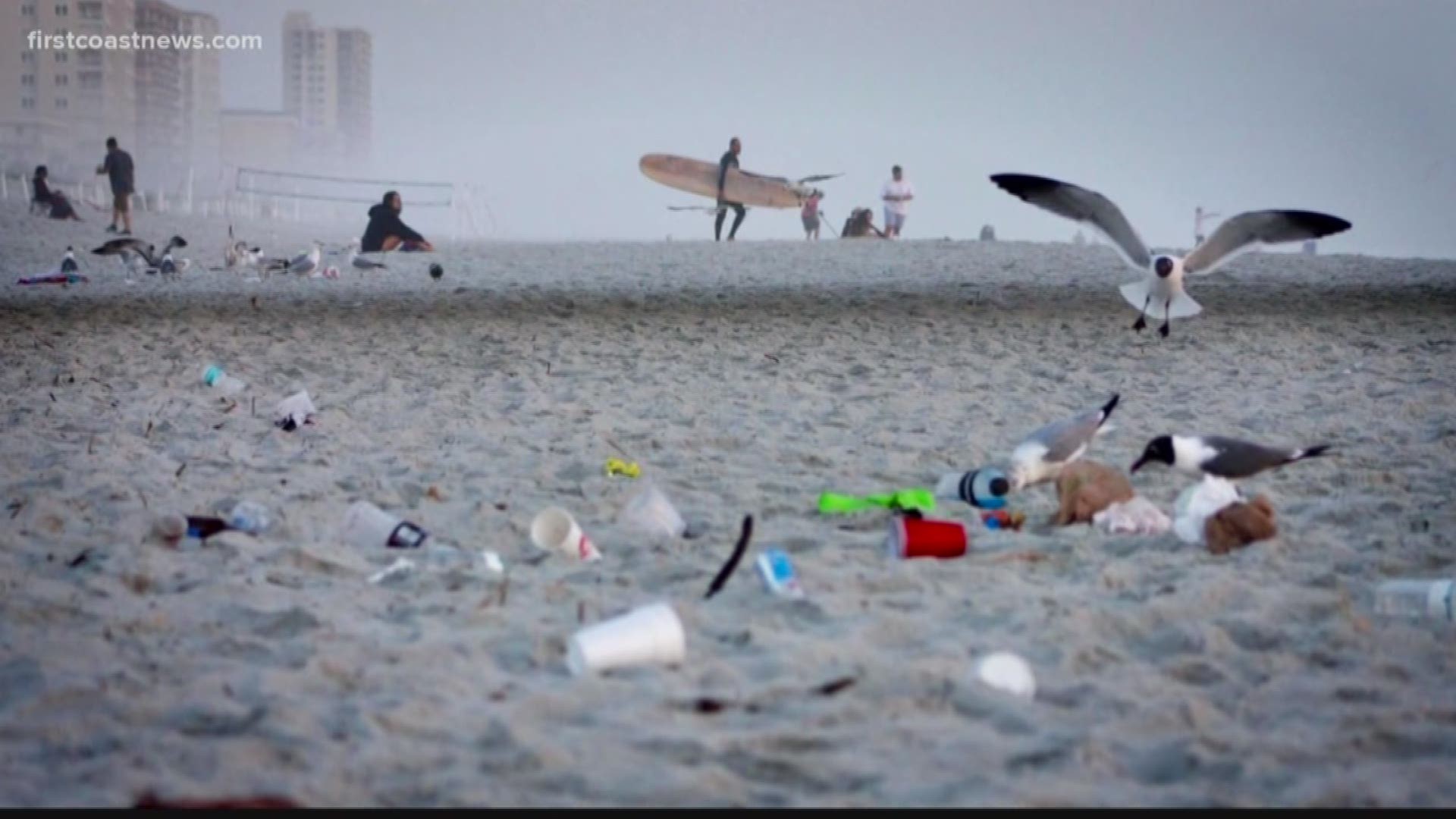 Keep JAX Beach Clean: Organization doing its part to keep the First ...