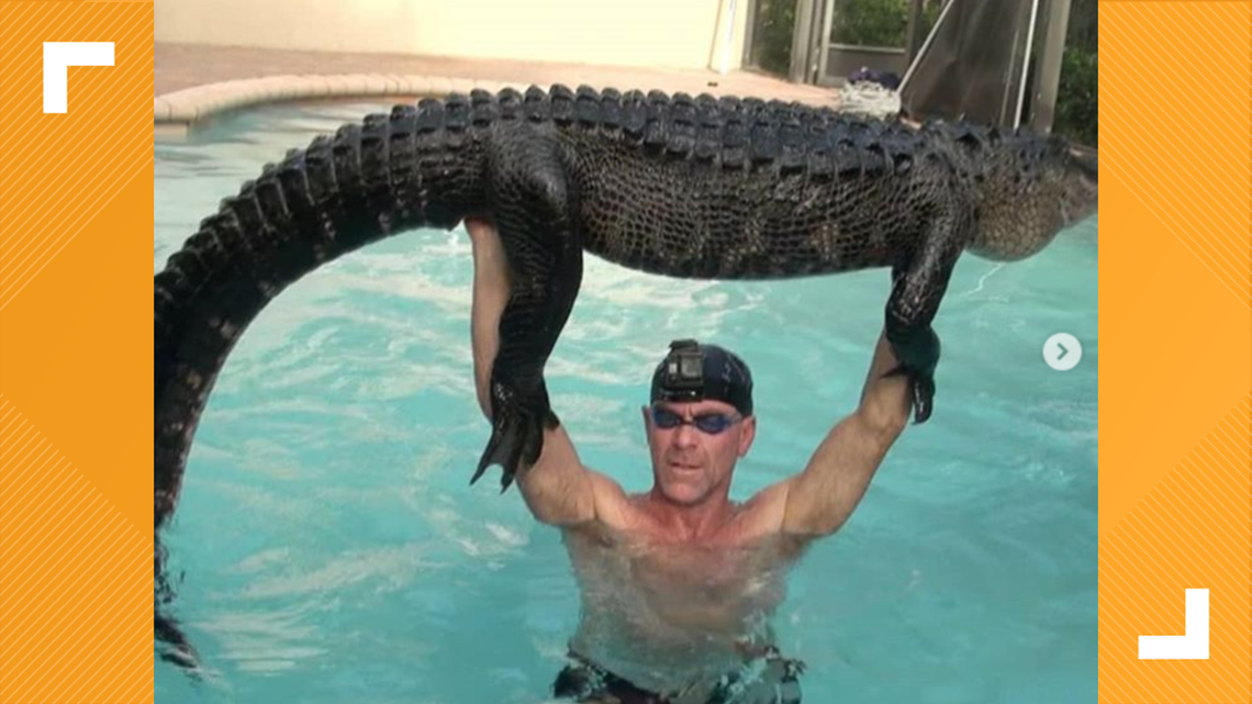 Florida man pulls 9-foot gator from pool with his bare hands ...