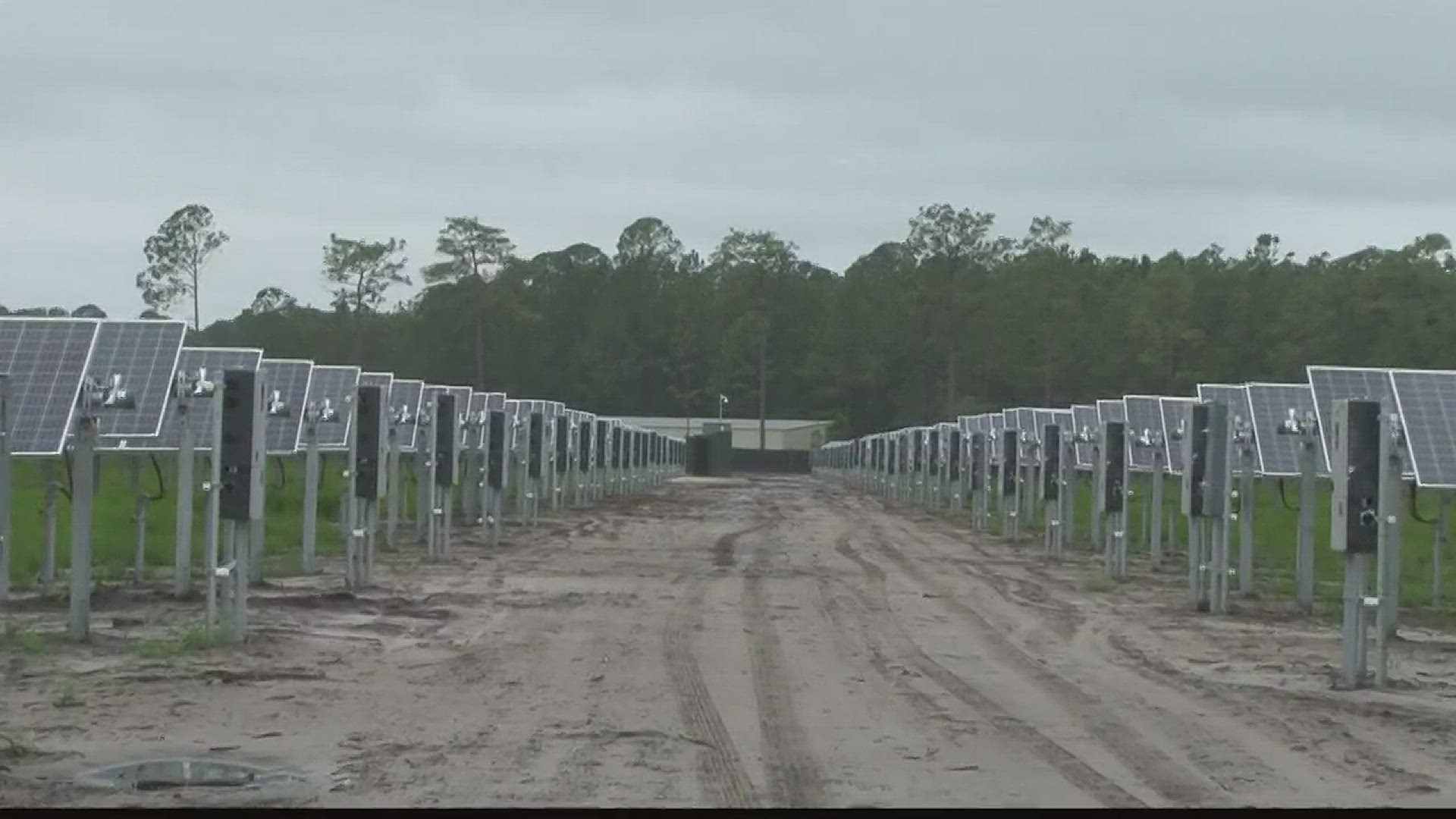 JEA doubles down on clean energy with SolarSmart program ...