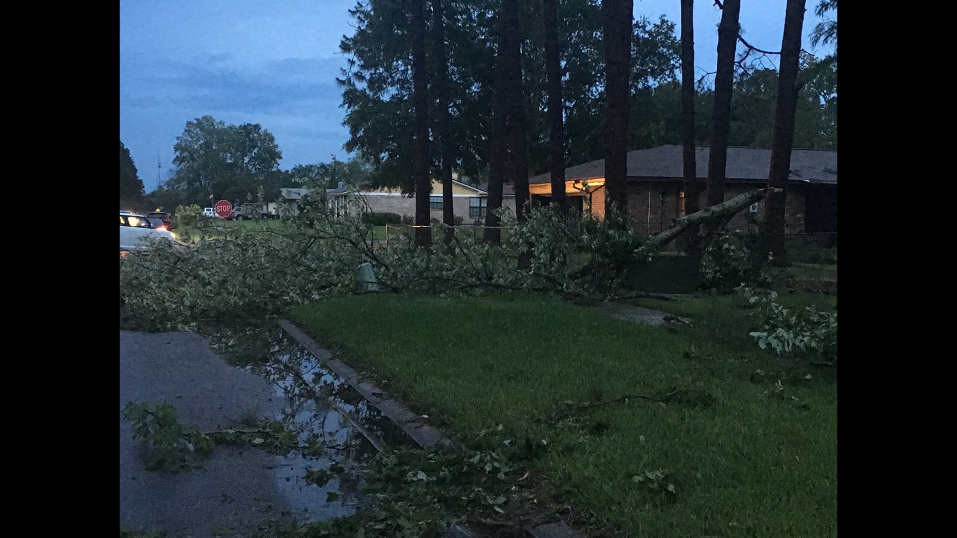 Photos: Storm damage in Orange Park after severe storms ...