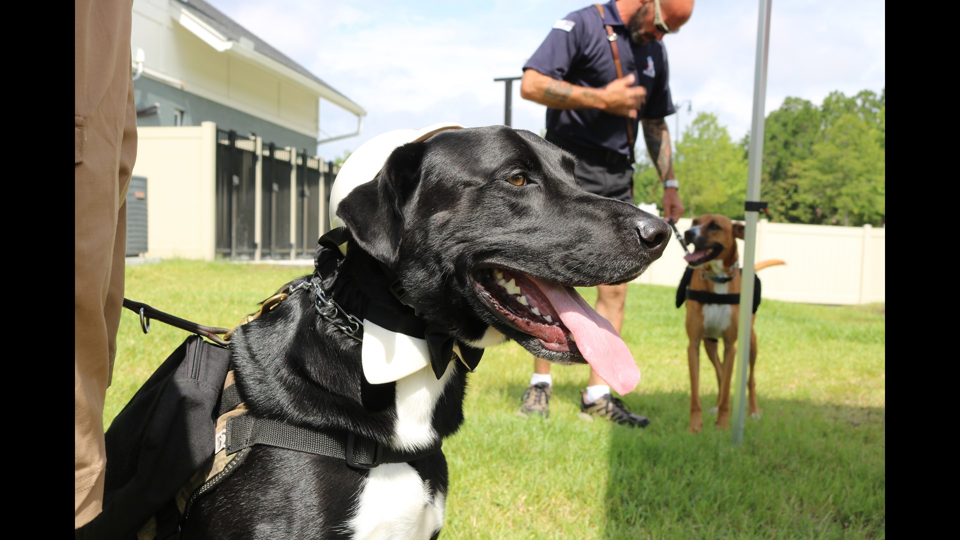 PHOTOS: 'K9s for Warriors' groundbreaking | firstcoastnews.com