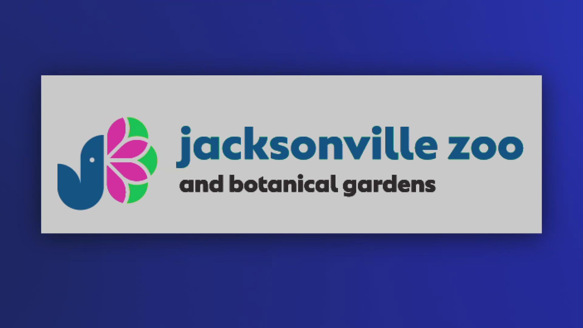 Jacksonville zoo gets new name to highlight dedication to plants and animals | firstcoastnews.com