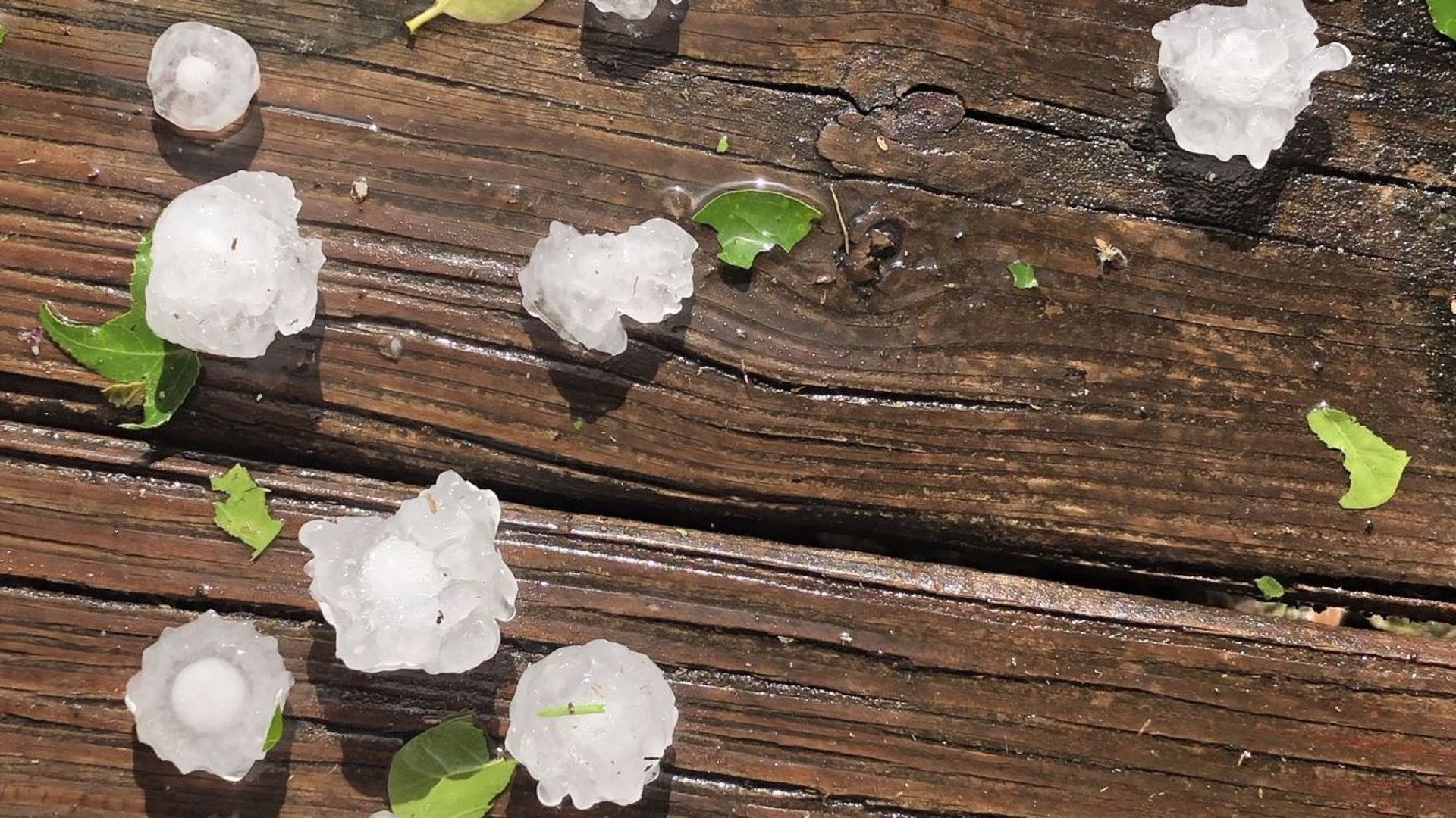 Giant hail falls along the First Coast | firstcoastnews.com