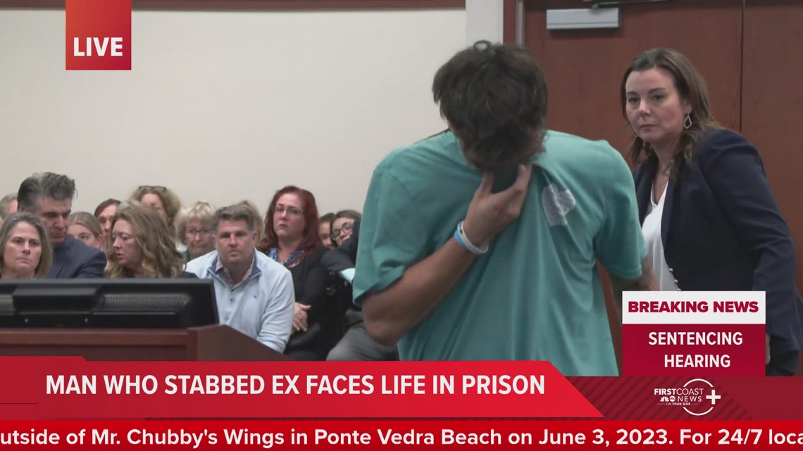 Older brother takes stand in sentencing of man who stabbed his sister ...