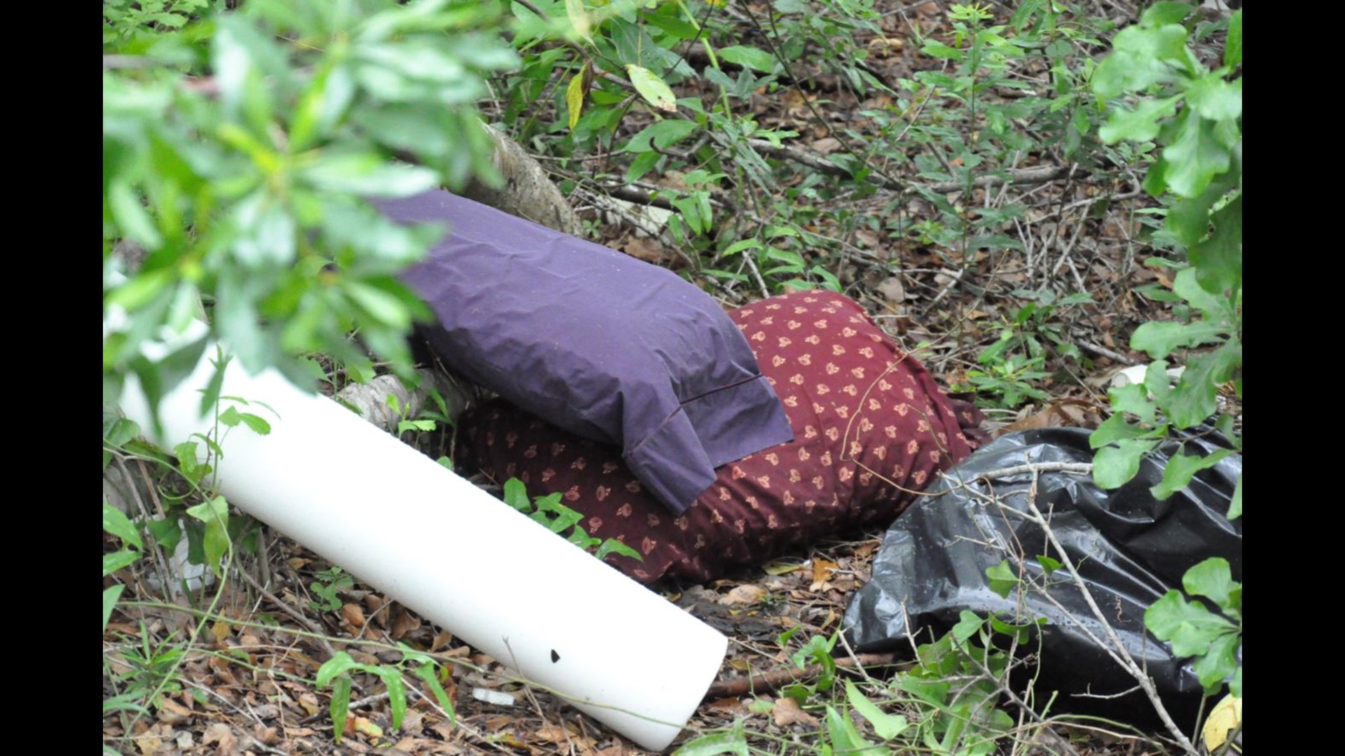 New evidence released in accused killer Kimberly Kessler's case ...