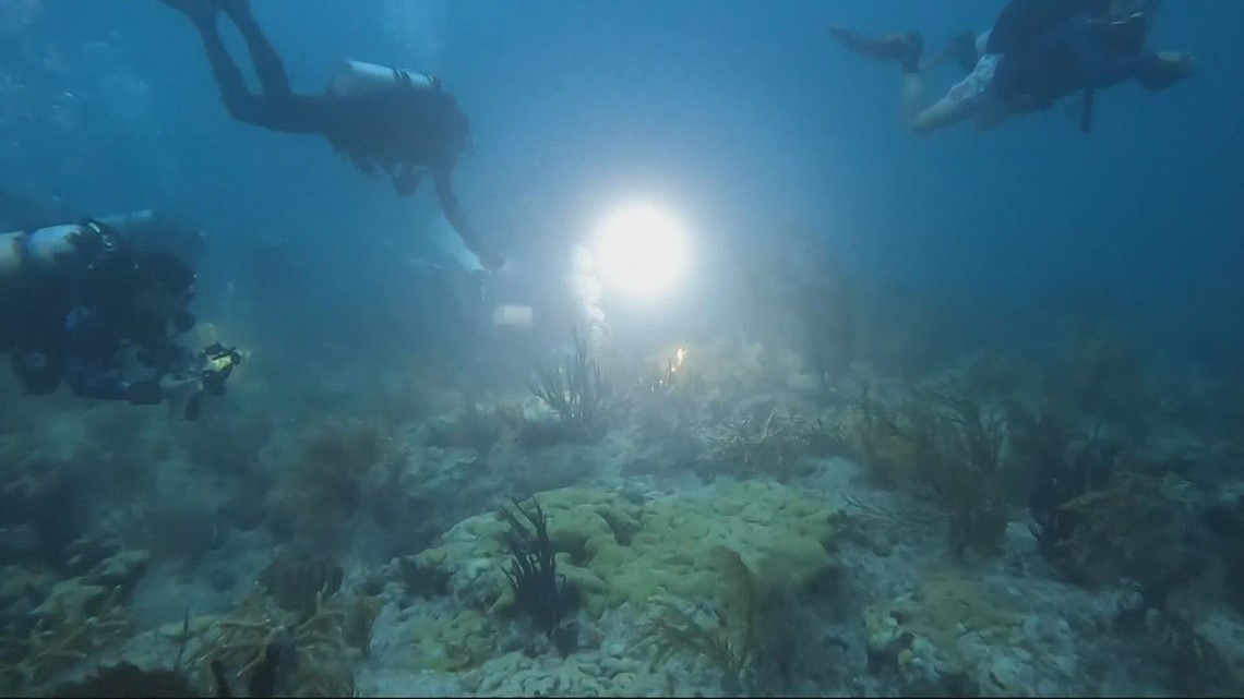 A look at an underwater experiment that could protect coral ...
