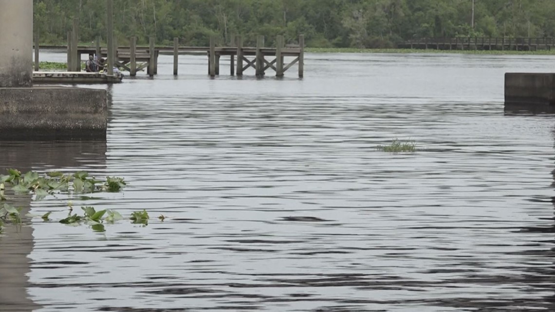 Jazz show on Ortega River this Saturday | firstcoastnews.com