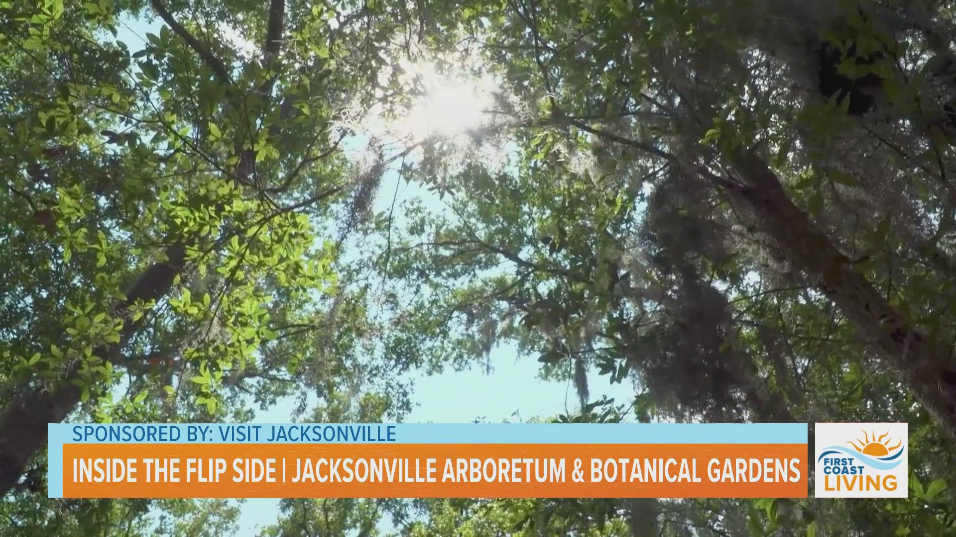 Inside The Flip Side - Jacksonville Arboretum & Botanical Gardens ...