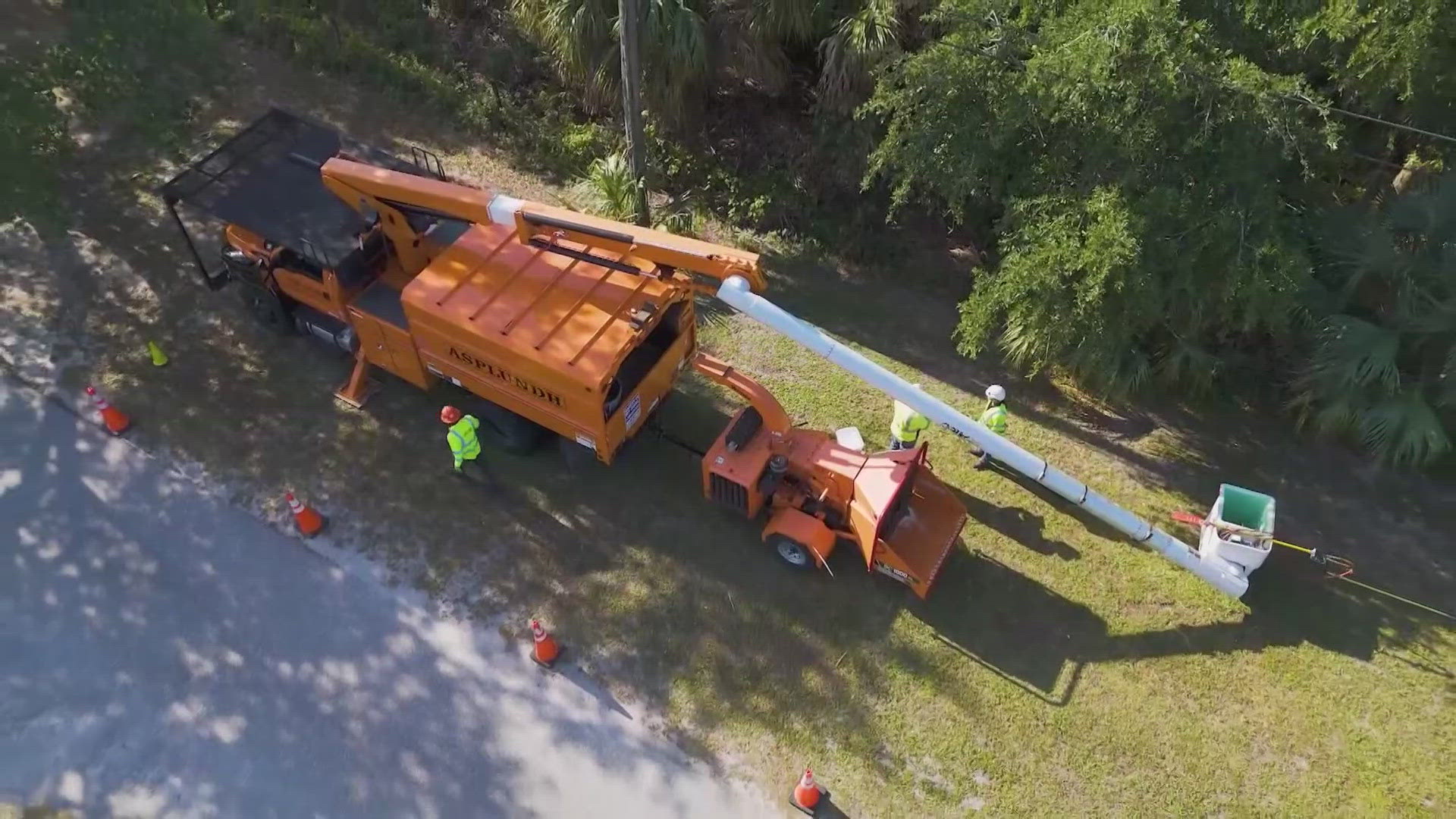 Arbor Day serves as reminder for smart tree planting and safety near ...