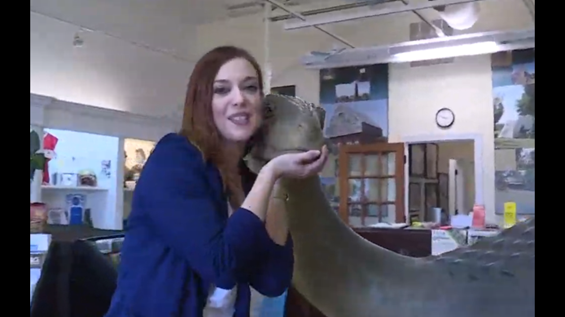 Is the South GA 'sea creature' real or fake? FCN reporter sets out to ...