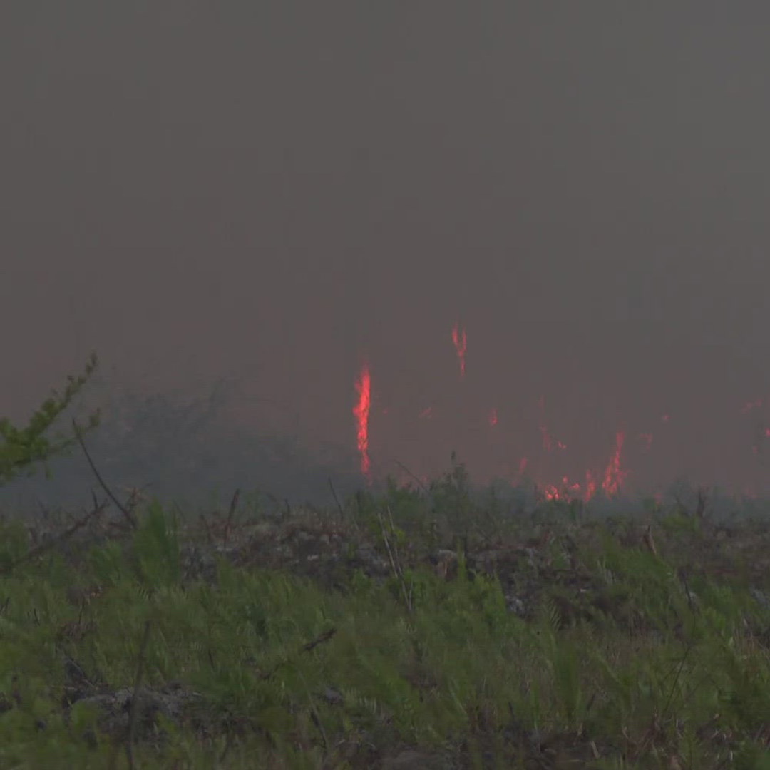 Here's a live look at air quality in parts of Georgia and Florida ...