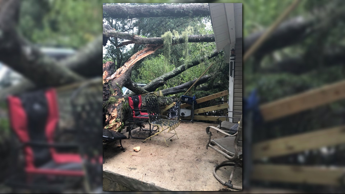 Tree falls on home on Jacksonville's westside, residents got out safe ...