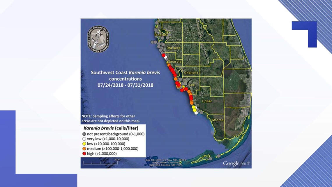 Red tide: What is it and why does the beach stink right now ...