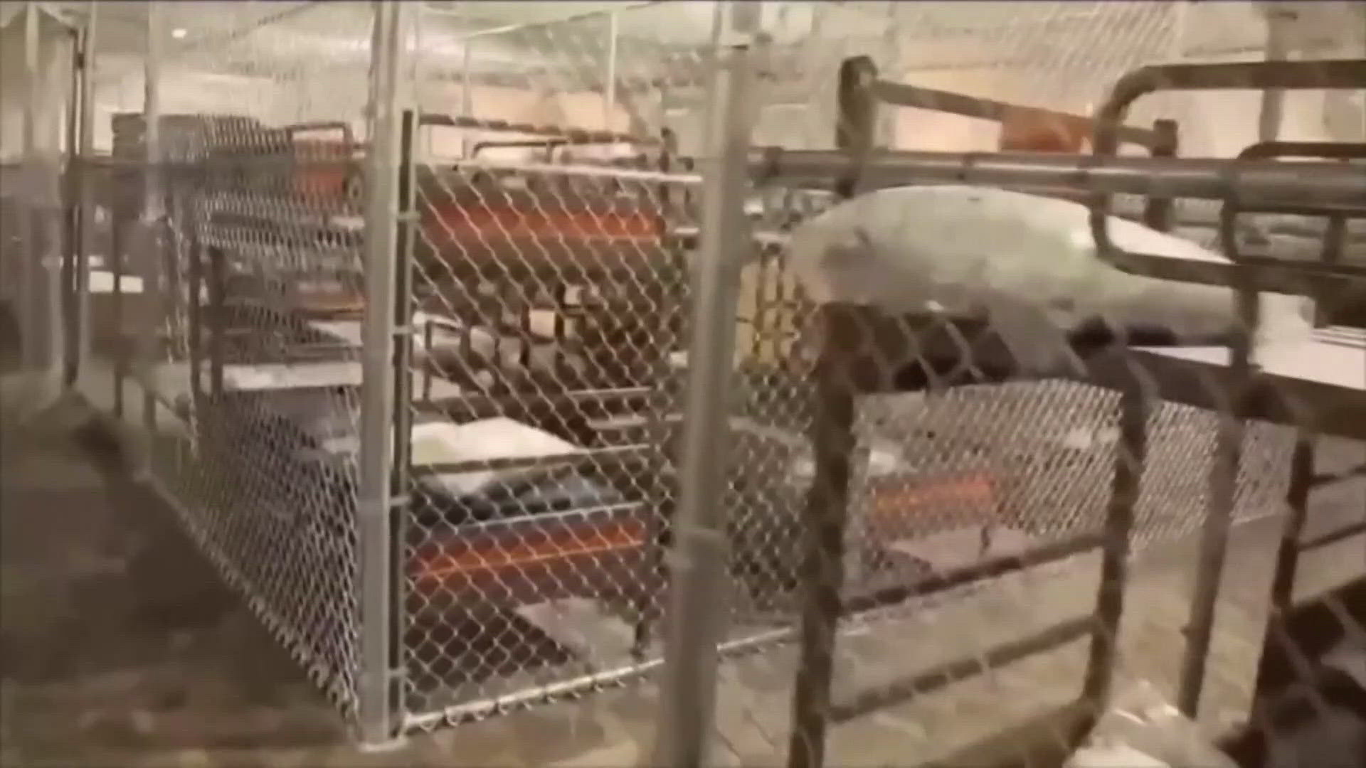 Florida lawmaker proposes cannabis vehicle open-container ban ...