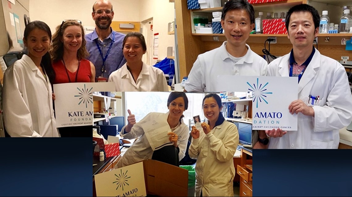 Kate Amato Foundation gives $100,000 to pediatric cancer research ...