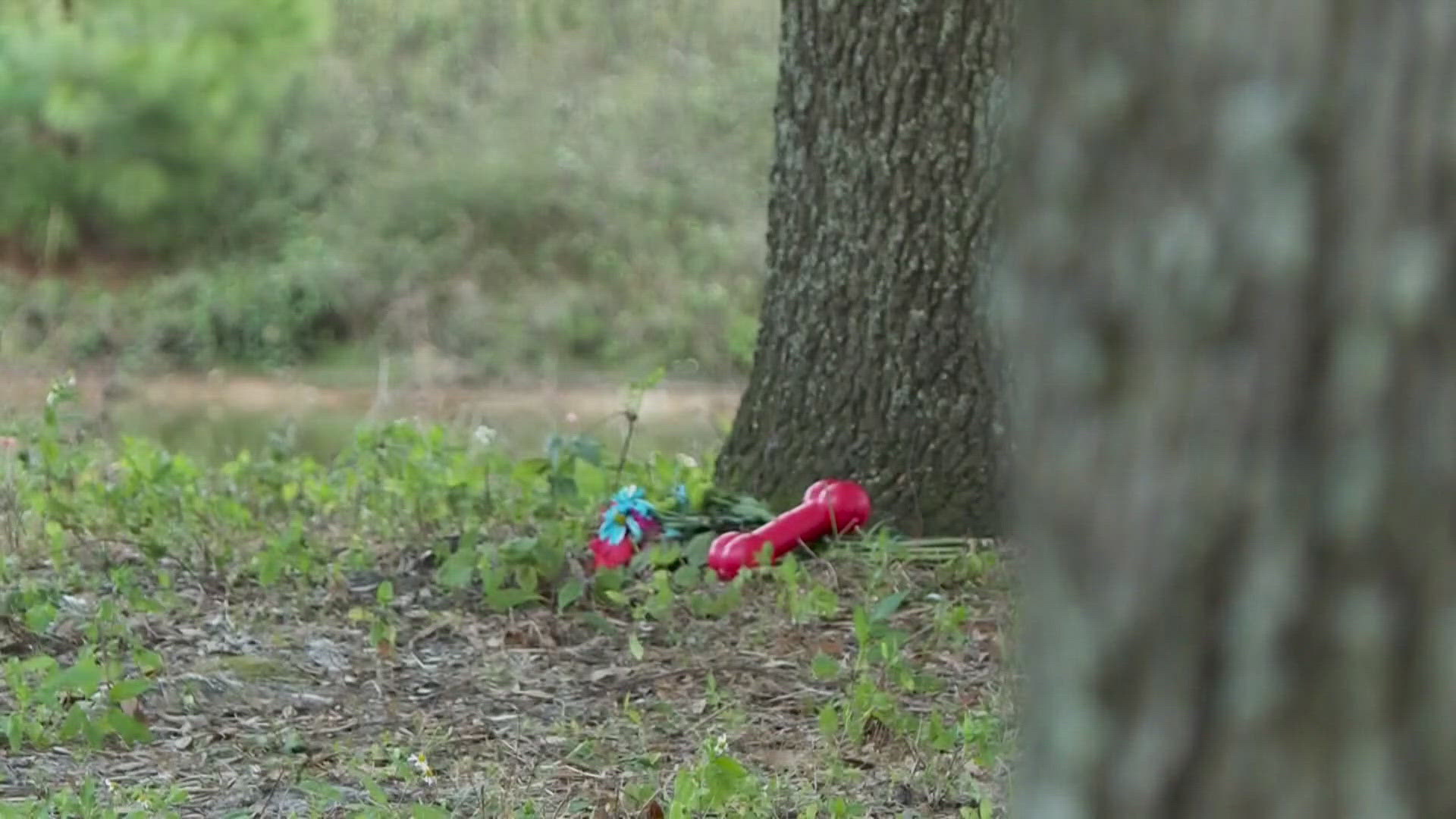 Reward offered in Jacksonville Westside brutal animal cruelty case ...