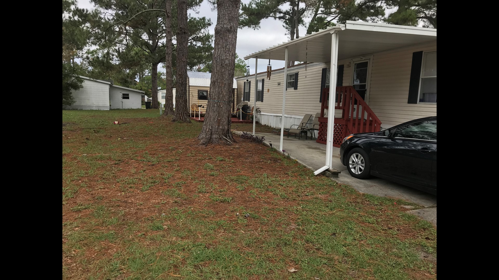 I'm Telling Ken: Viewer complains about dangerous tree growing under ...