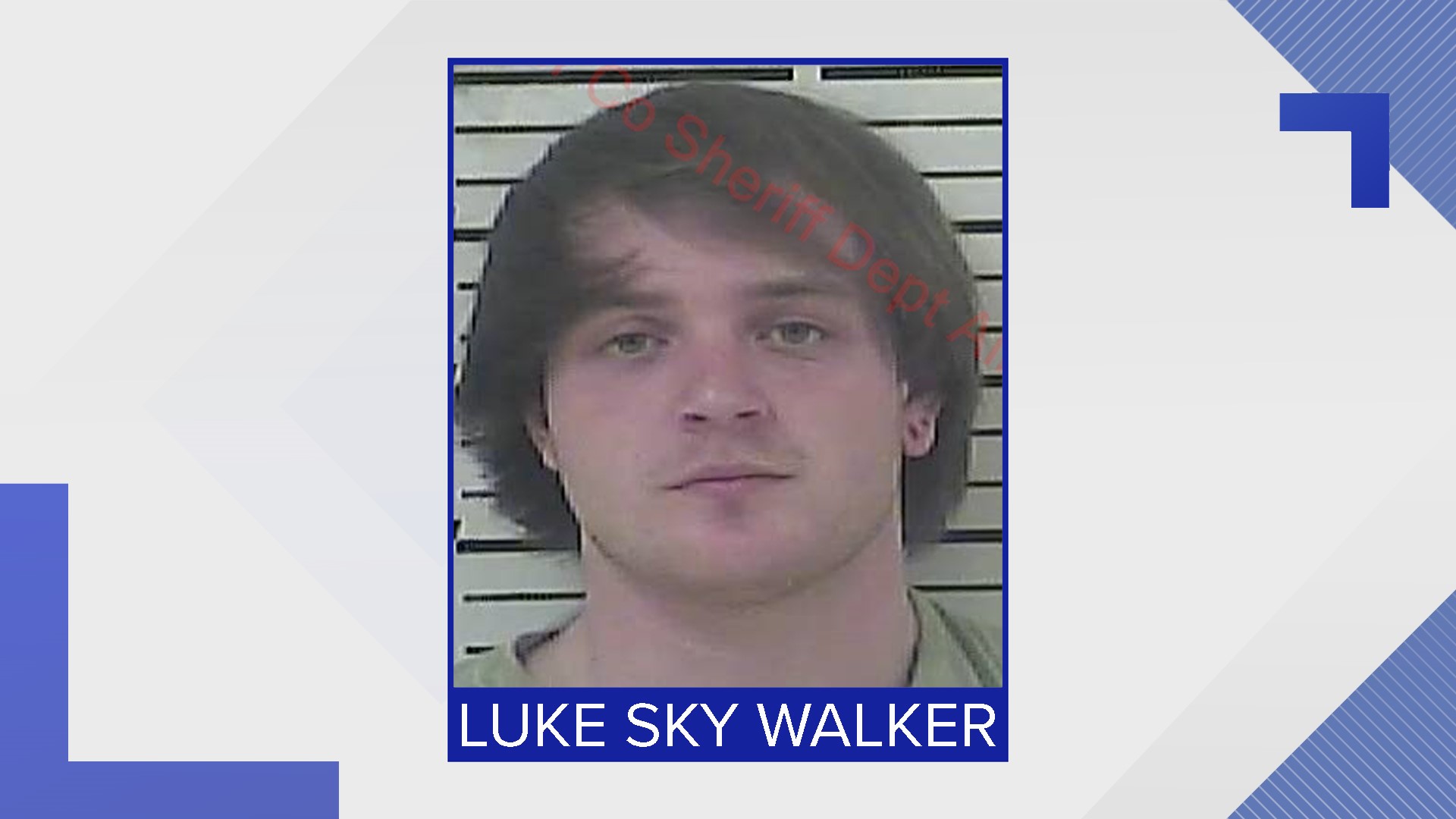 'Star Wars' actor Mark Hamill responds to Luke Sky Walker's arrest in ...