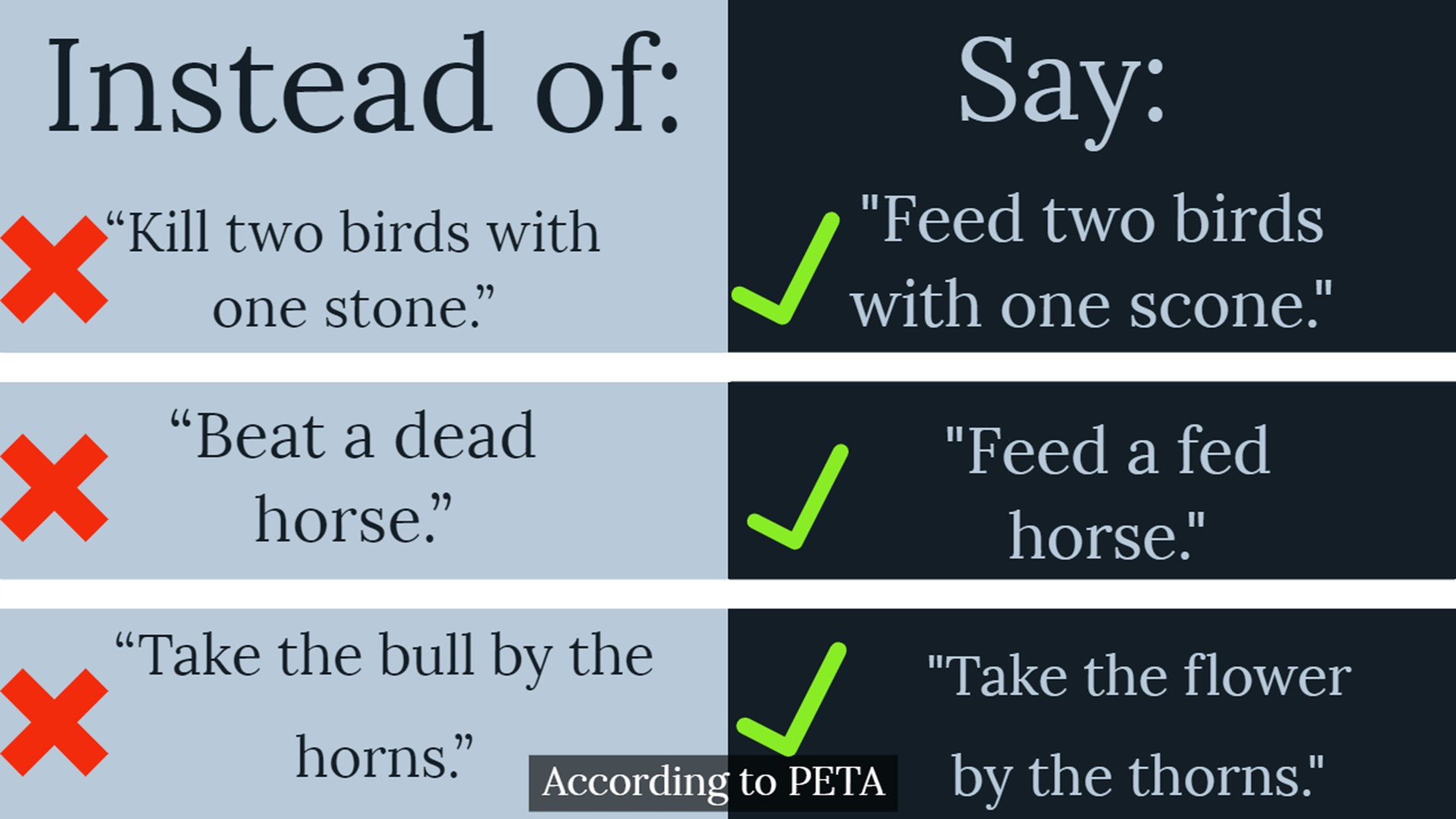PETA offers replacement sayings for the 'anti-animal language' in daily ...