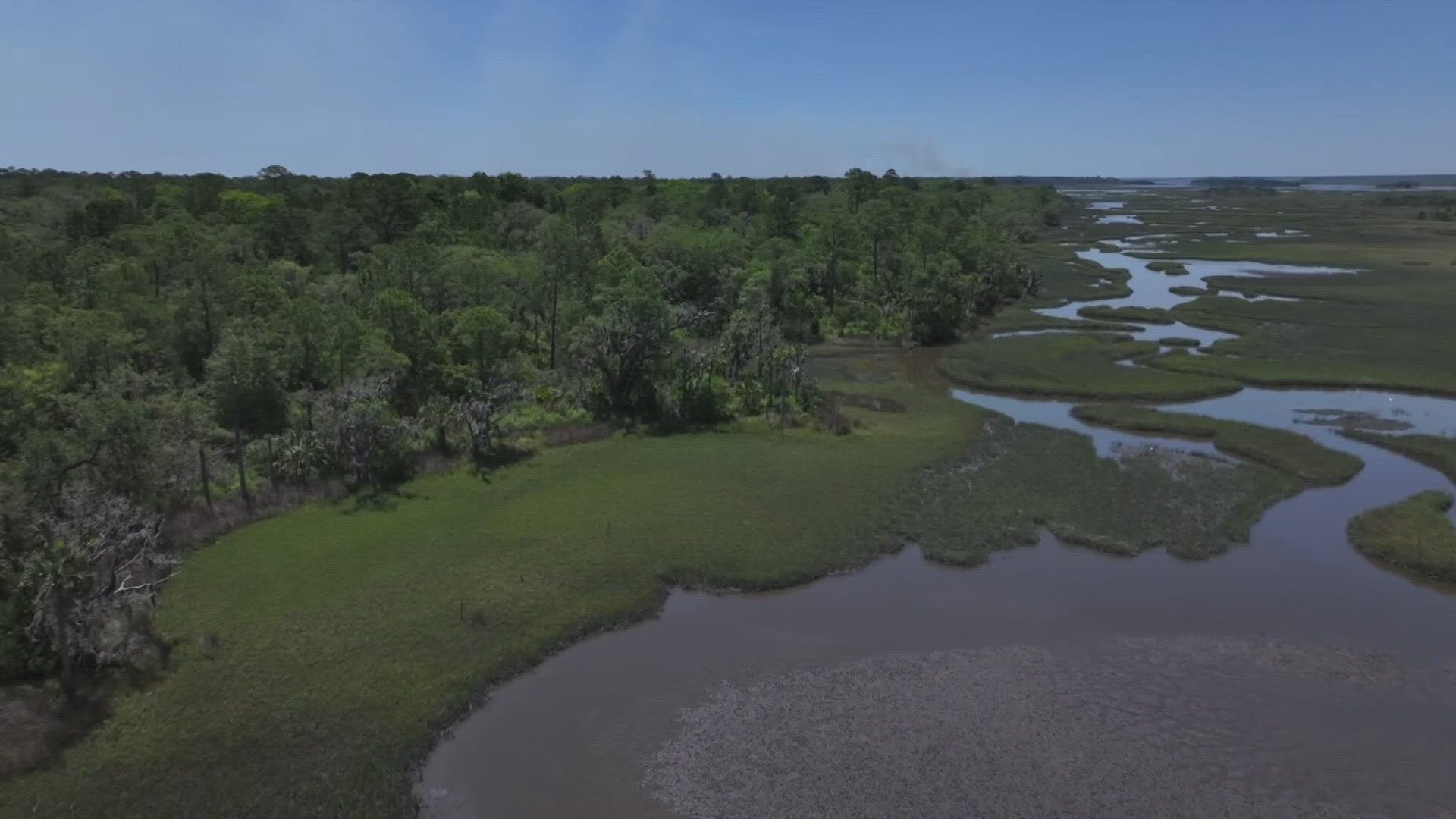 Exploring the Guana River Preserve ahead of land swap vote ...