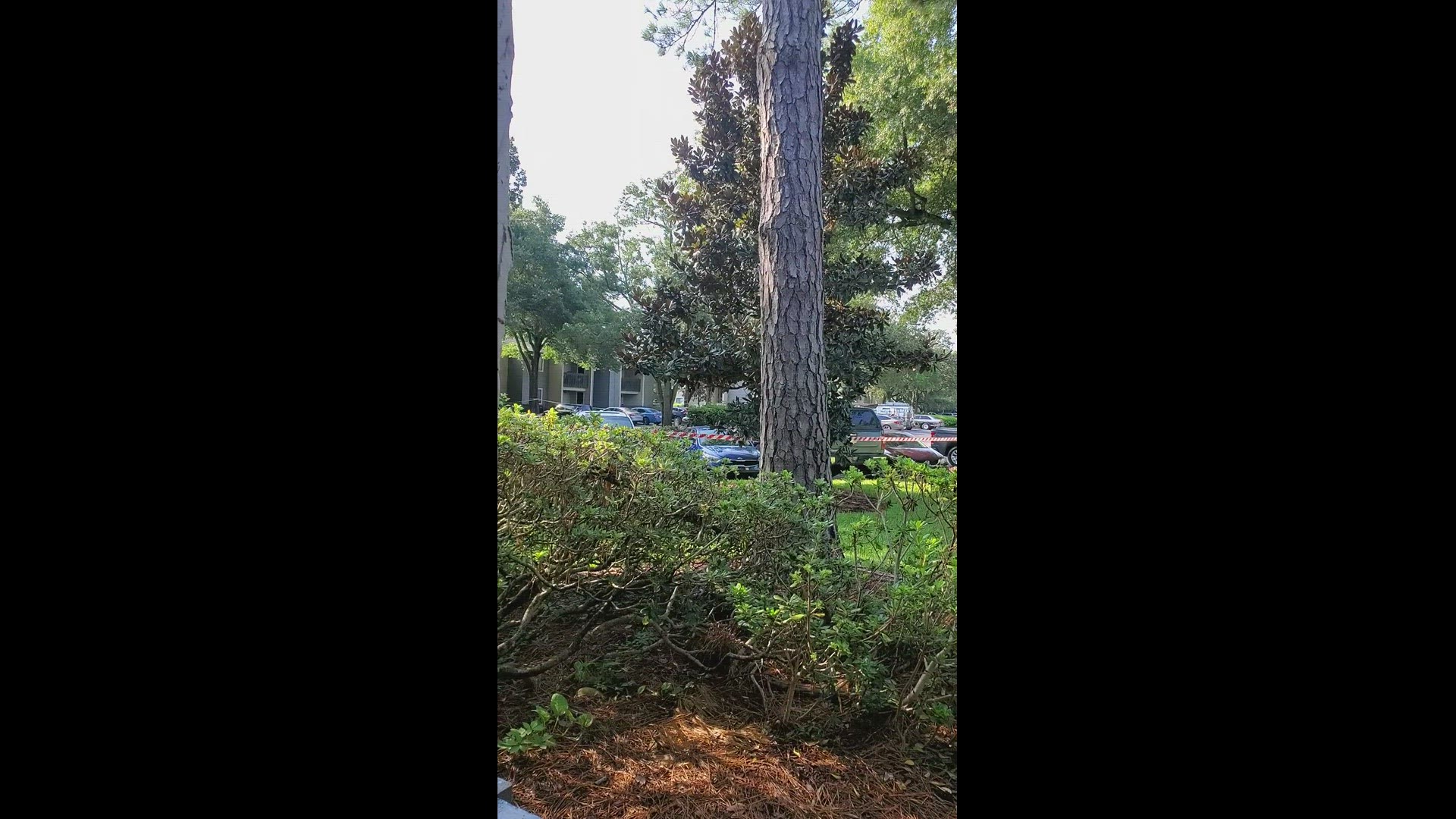 Swat team situation in Jacksonville on Hodges Blvd | firstcoastnews.com