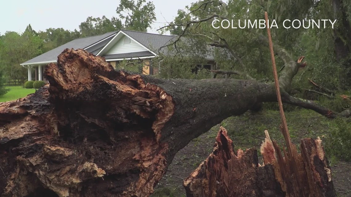 Idalia's Aftermath: Damage, destruction across the First Coast ...