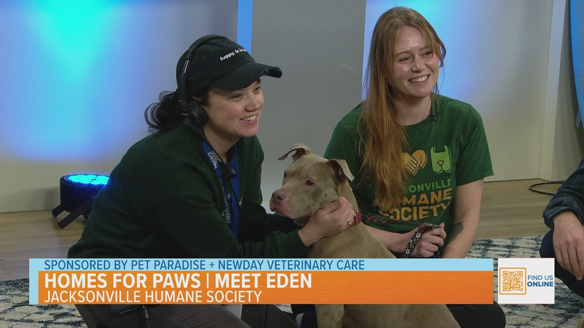 Homes For Paws: Meet Eden the Dog | firstcoastnews.com
