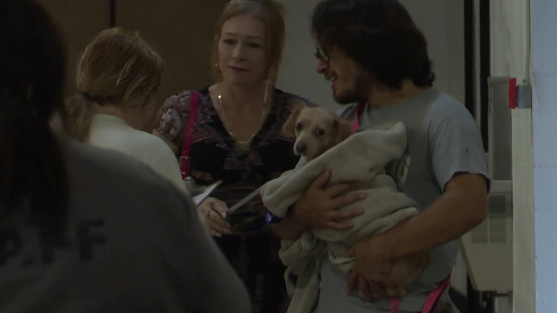 167 pets find new homes on first day of Mega Adoption event at Prime ...