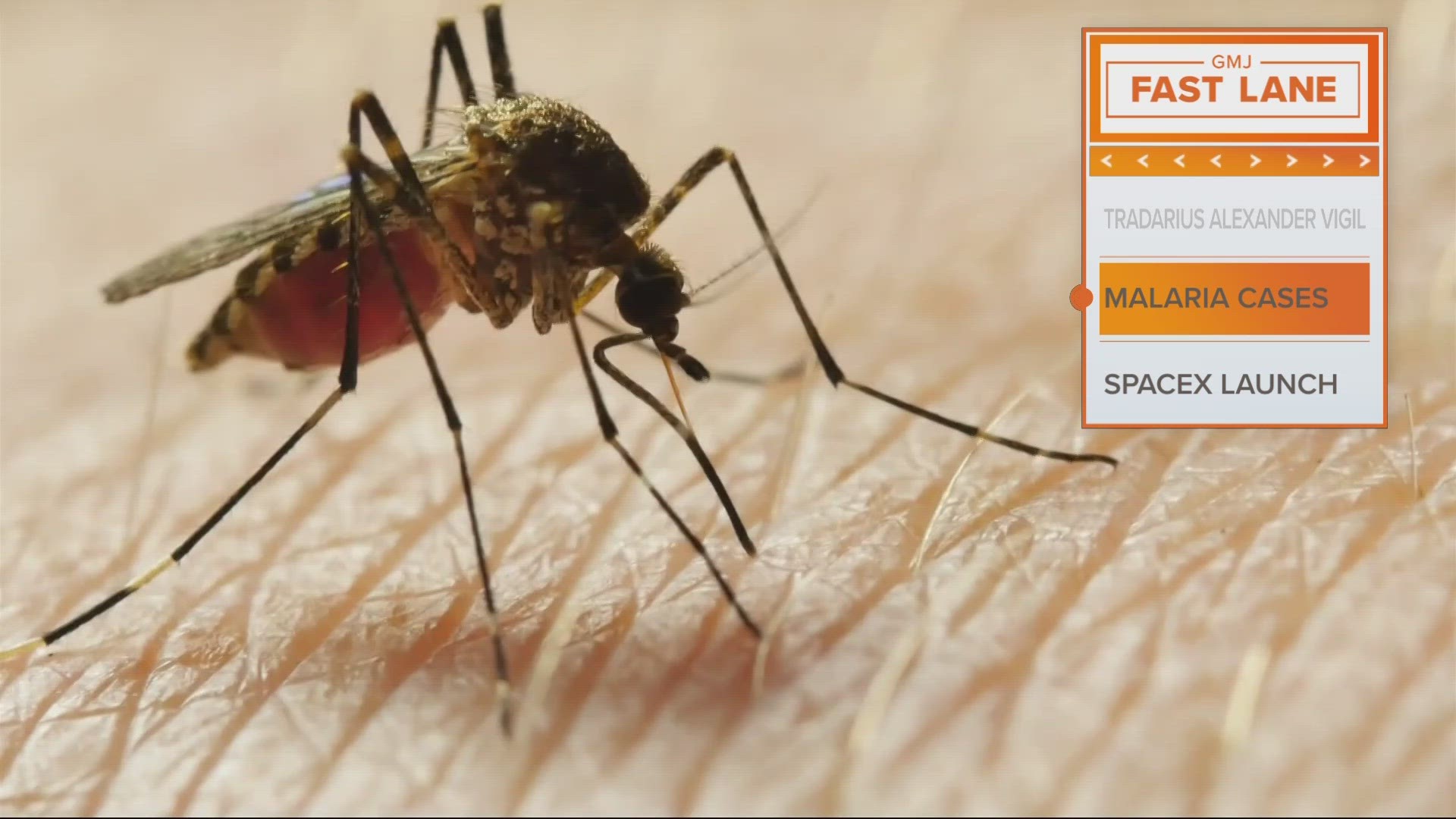 Florida Department of Health confirms two more cases of malaria in ...