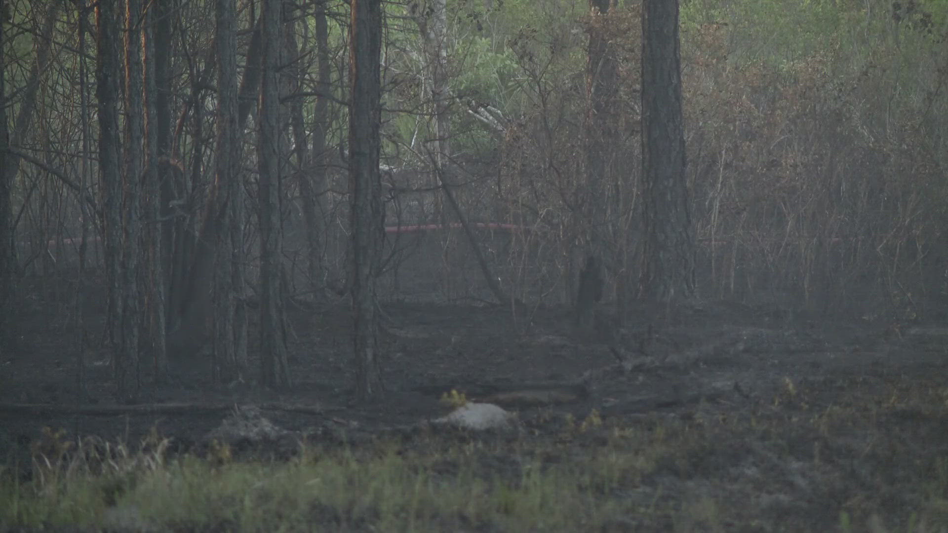 JFRD crews contain 15-acre brush fire on Jacksonville's Westside ...