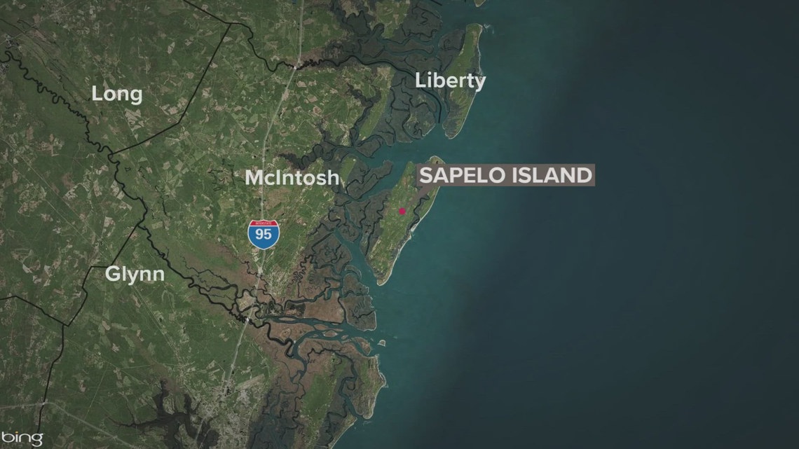 Dock collapses on Sapelo Island | firstcoastnews.com