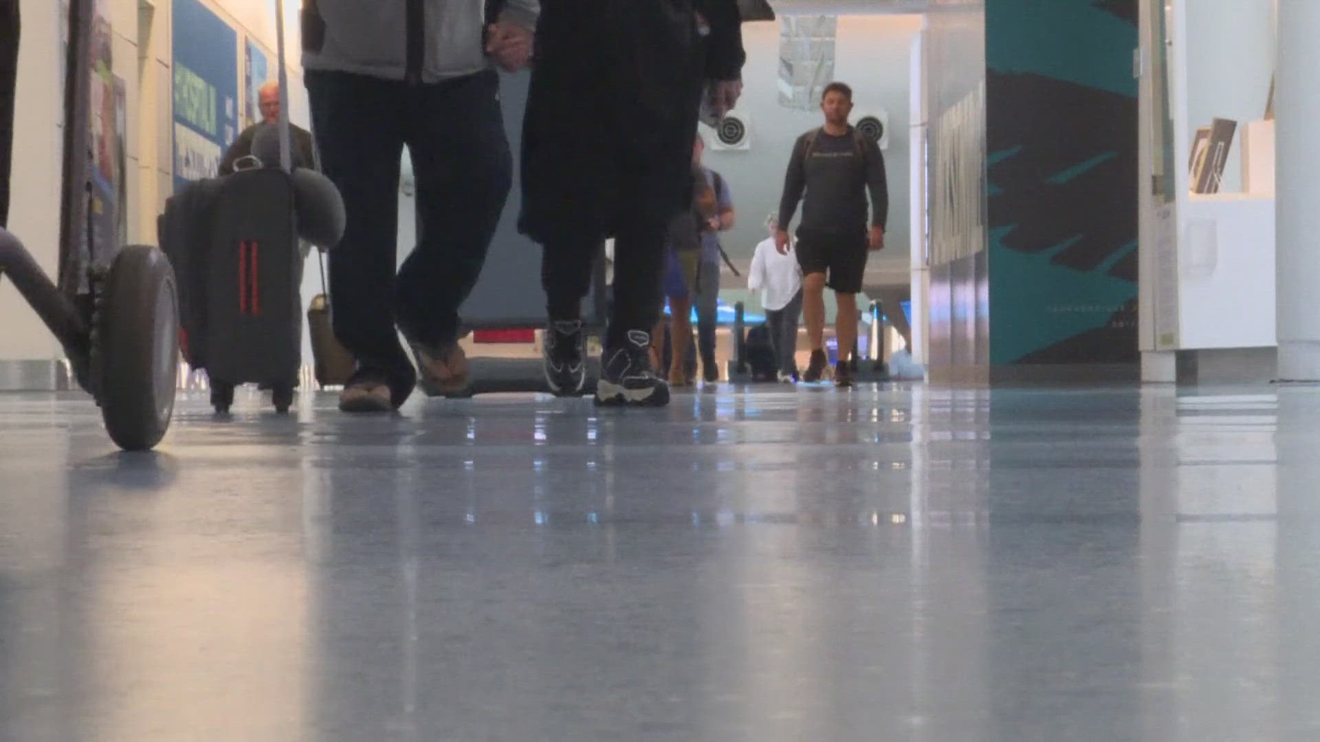 Florida SNAP recipients will not be able to buy these foods, drinks ...