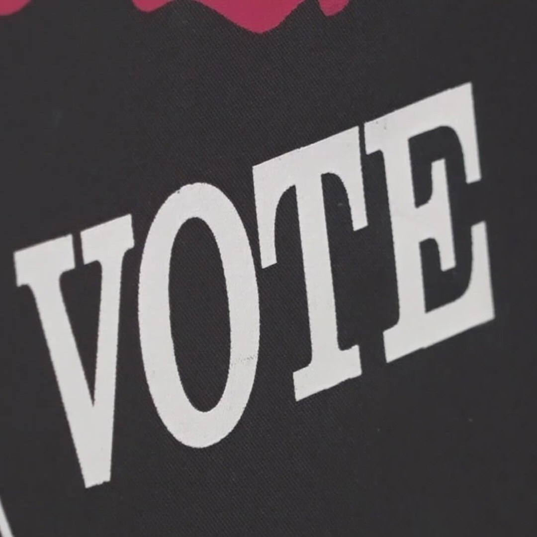 Georgia's 2026 partisan primary ballots are filled with hot-button ...