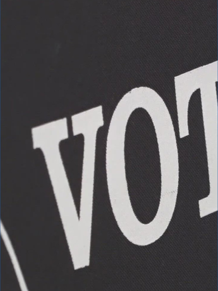 Georgia's 2026 partisan primary ballots are filled with hot-button ...