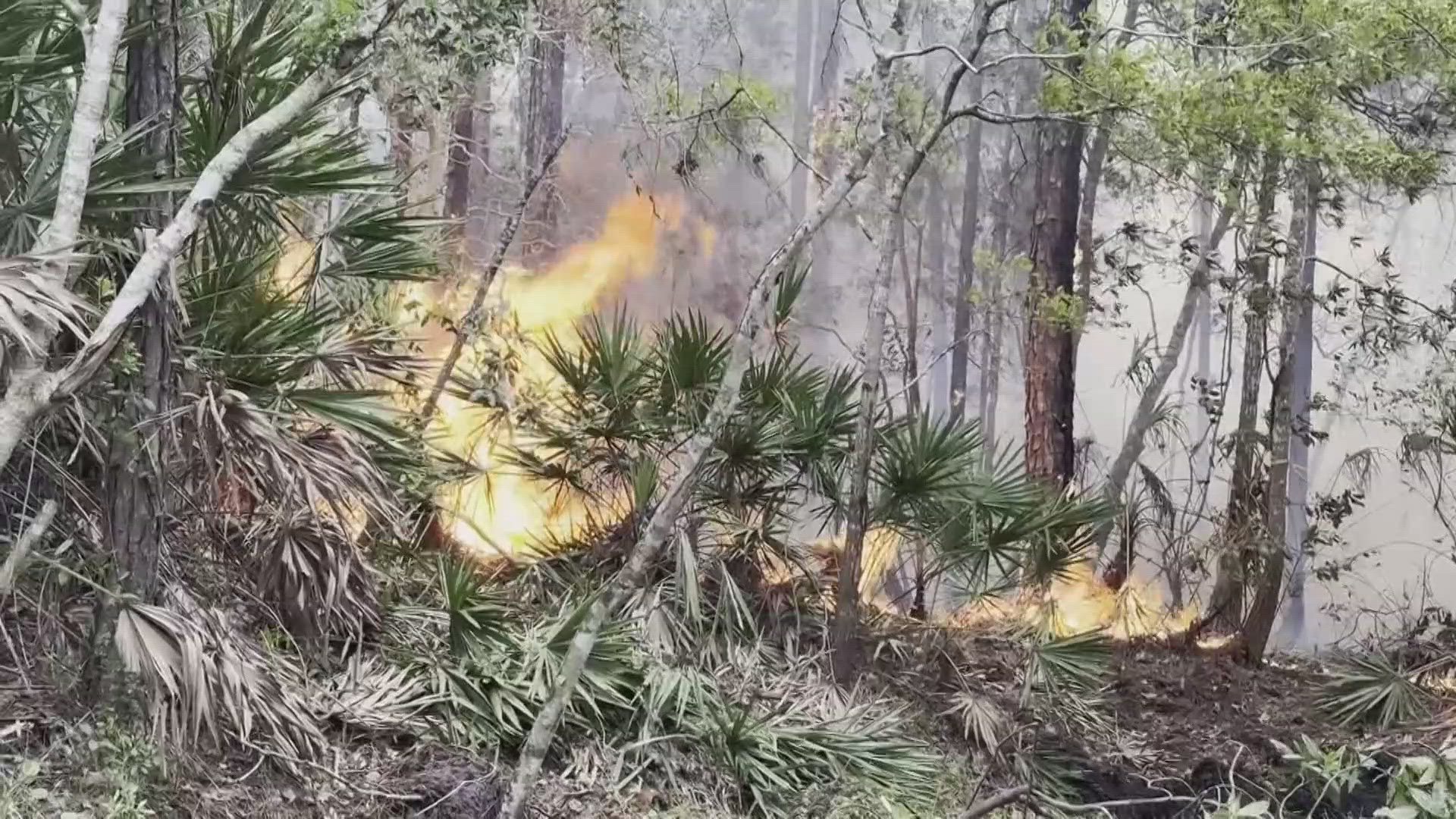 Crews respond to brush fire in St. Johns County | firstcoastnews.com