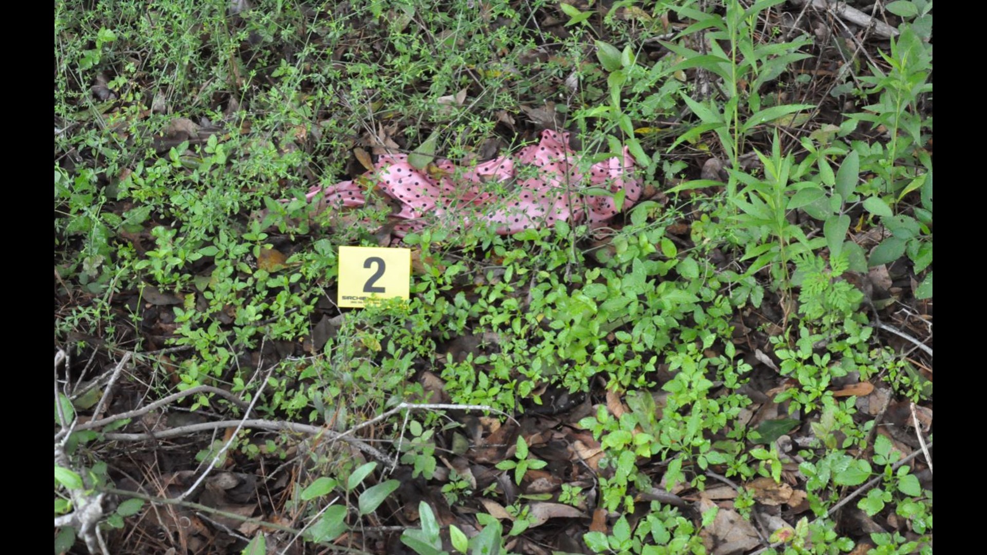 New photos, texts released in murder case against Kimberly Kessler ...