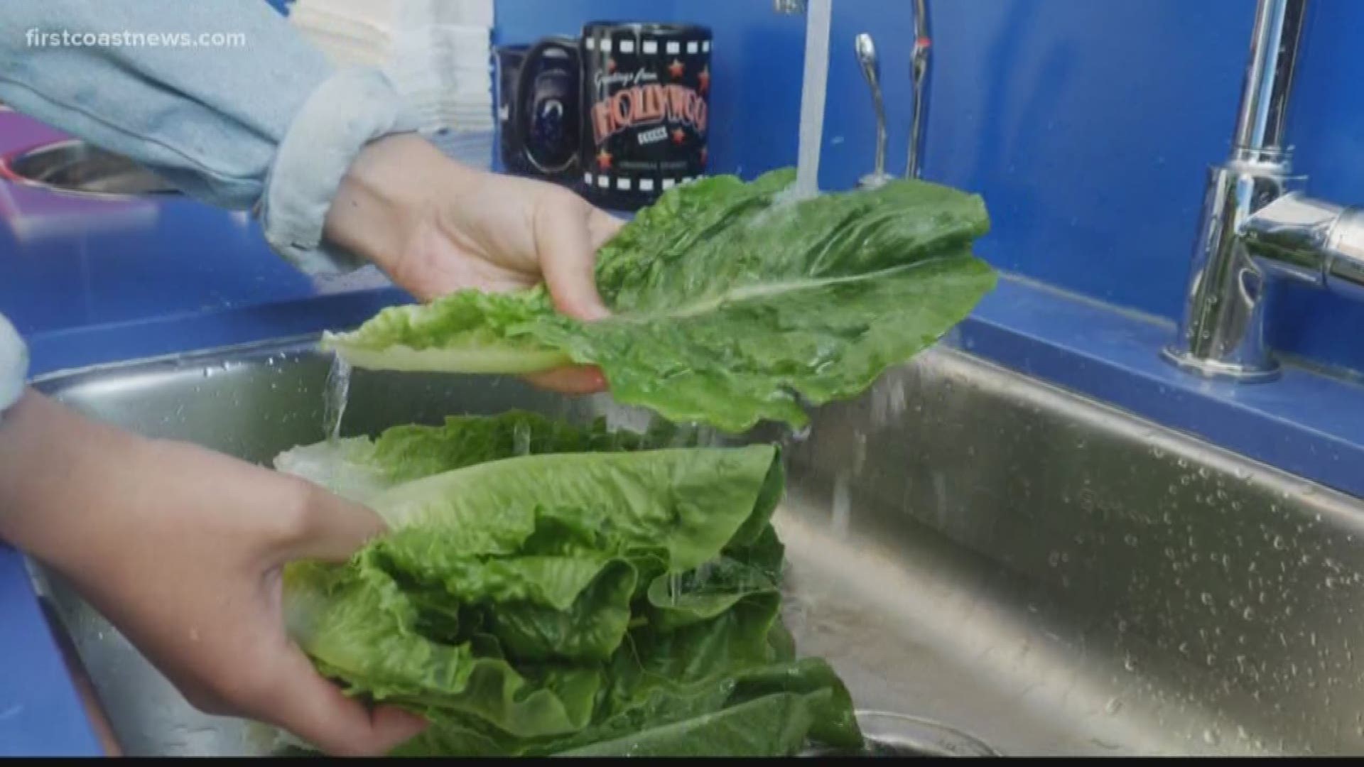 Red, green leaf lettuce, cauliflower recalled for possible E. coli ...