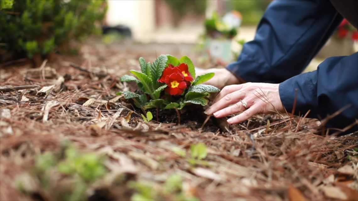 When should you start planting your garden this spring ...