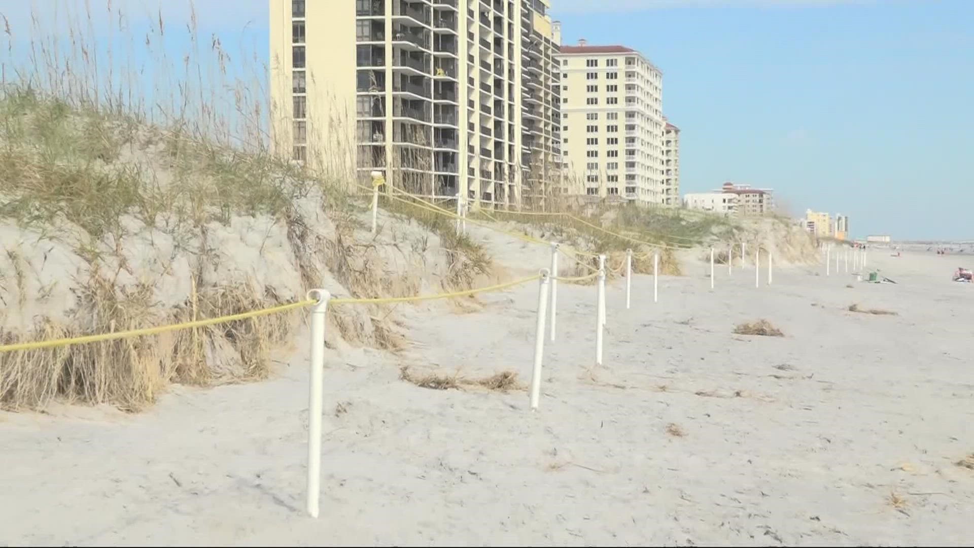 Dunes in Jacksonville Beach still rebuilding | firstcoastnews.com