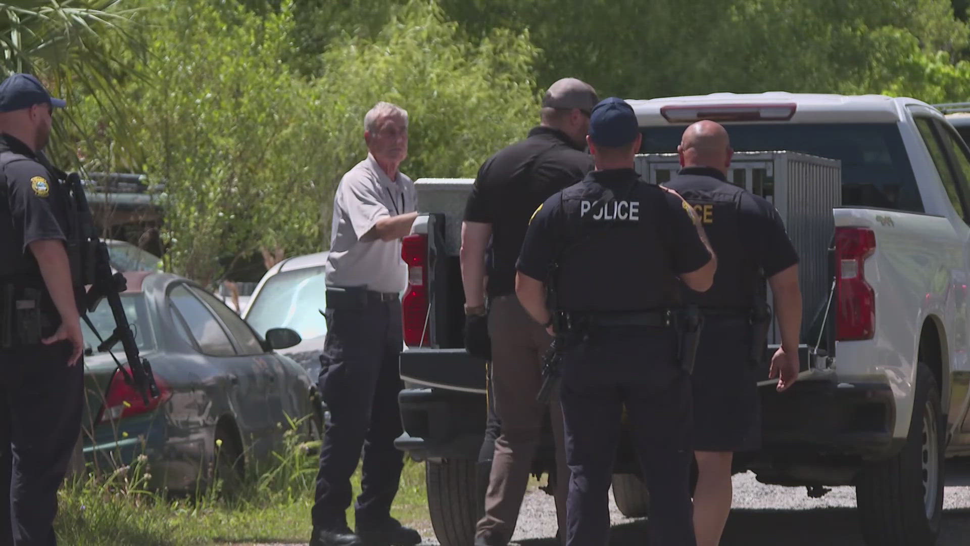 Coyote shot, killed in Atlantic Beach believed to be responsible for ...