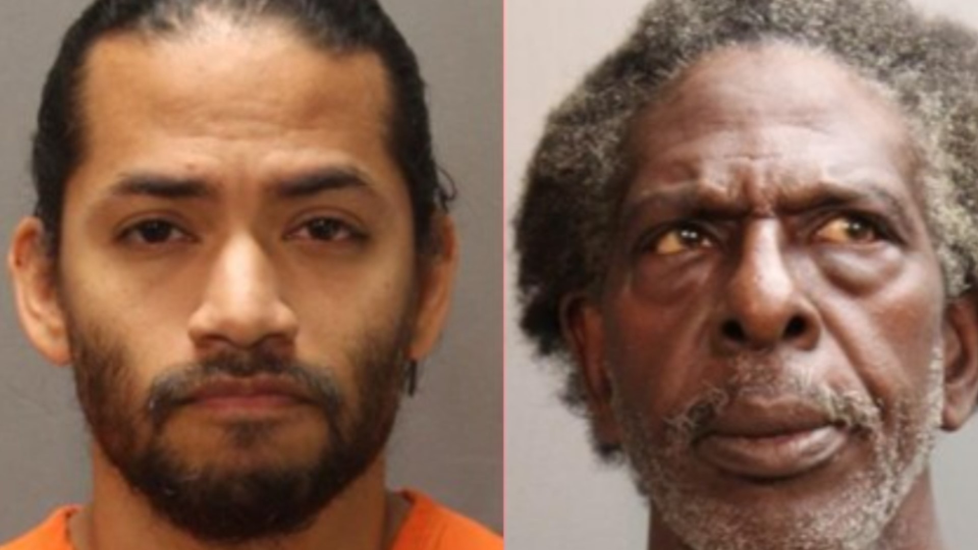 Shanna Gardner mugshot released | firstcoastnews.com