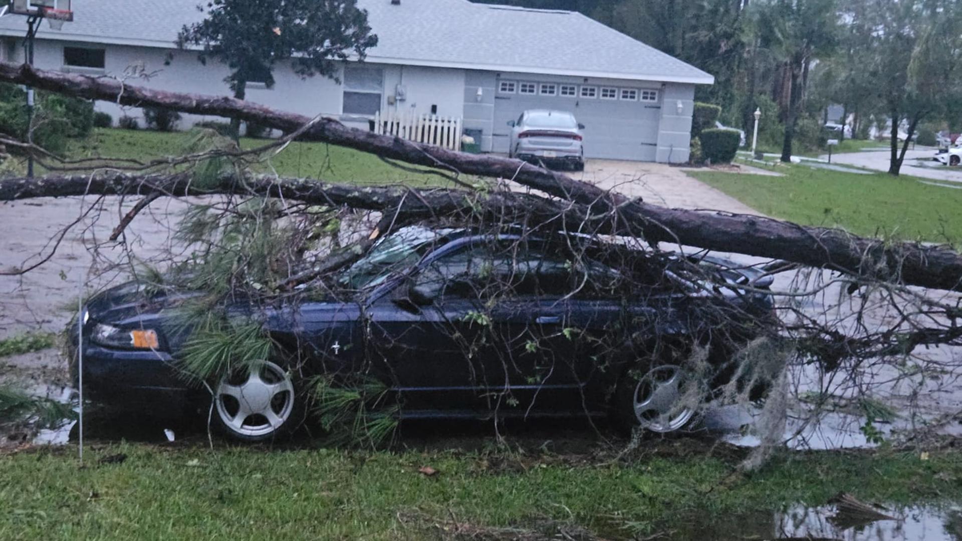 PHOTOS: Here's what Hurricane Milton did to the First Coast ...