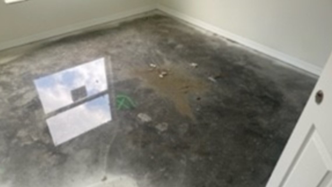 North Florida teen arrested for vandalizing home property ...