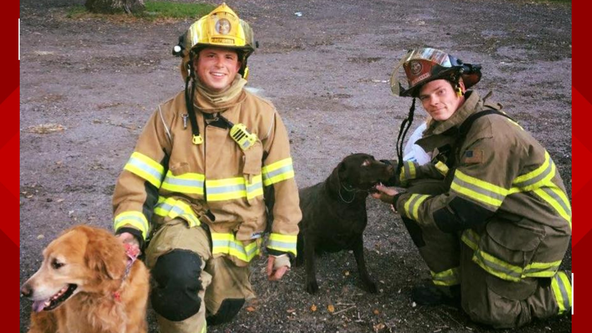 Firefighters rescue almost a dozen animals from fire in St. Augustine ...