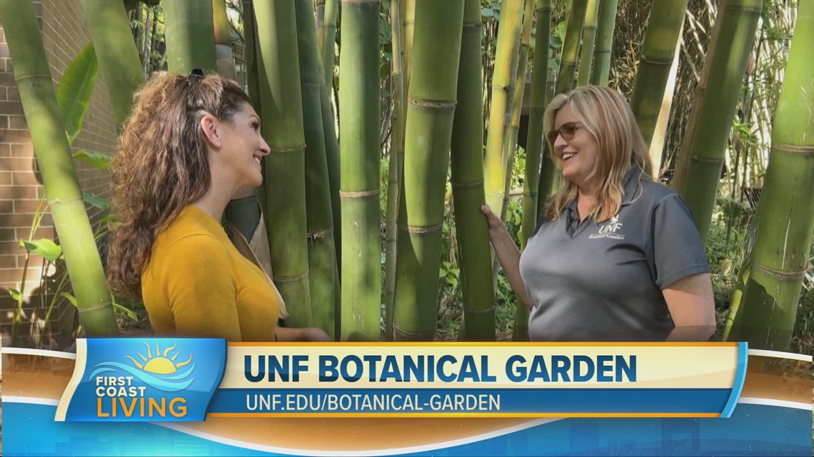 Find your zen at the UNF Botanical Garden (FCL Nov. 2, 2022 ...