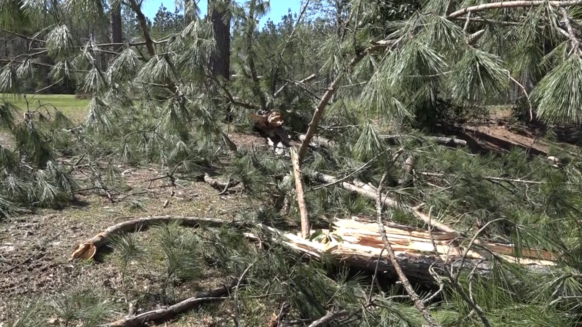 NWC confirms EF-0 tornado touched down in Charlton County Sunday ...