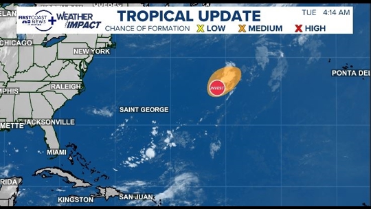 TV Listings - WTLV NBC12 | WJXX ABC25 | Antenna TV | True Crime | FCN ...