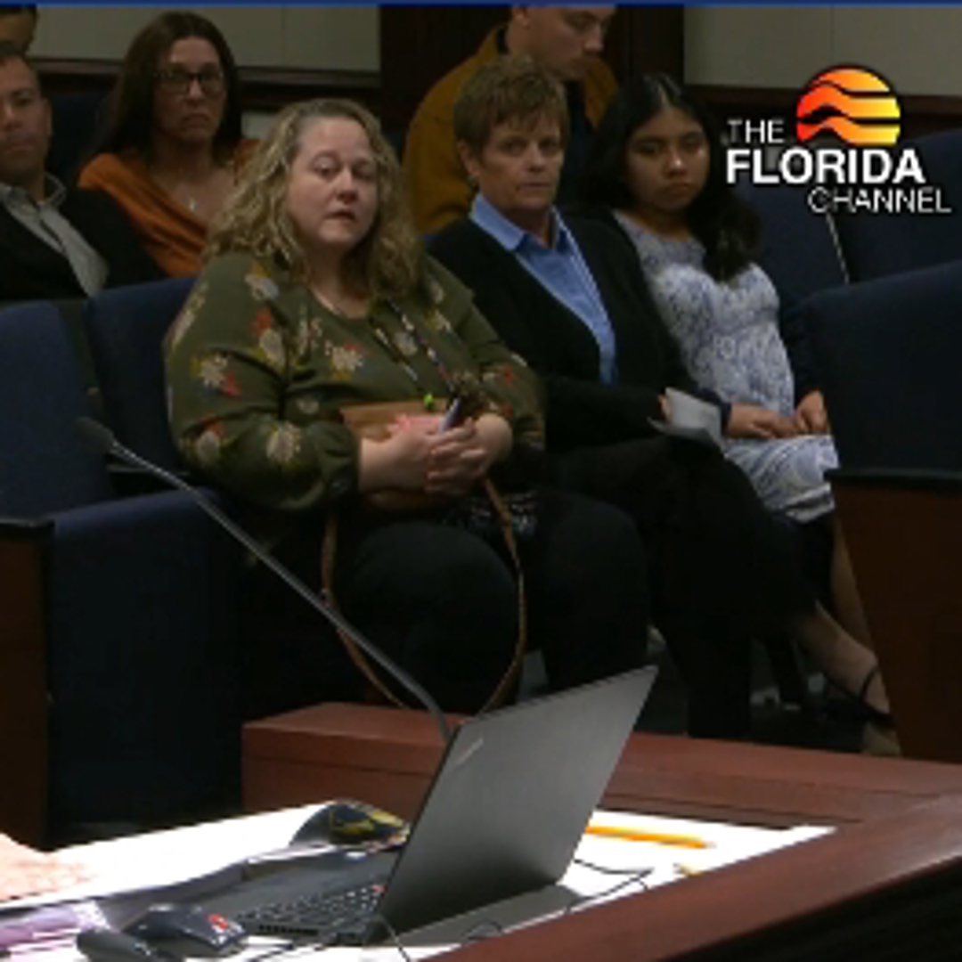 Florida Senate committee unanimously approves bill on child protective ...