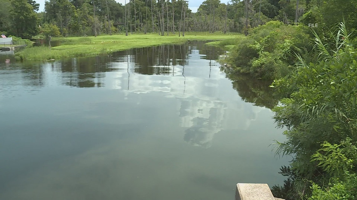 Duval County Health Department issues blue-green algae warning ...